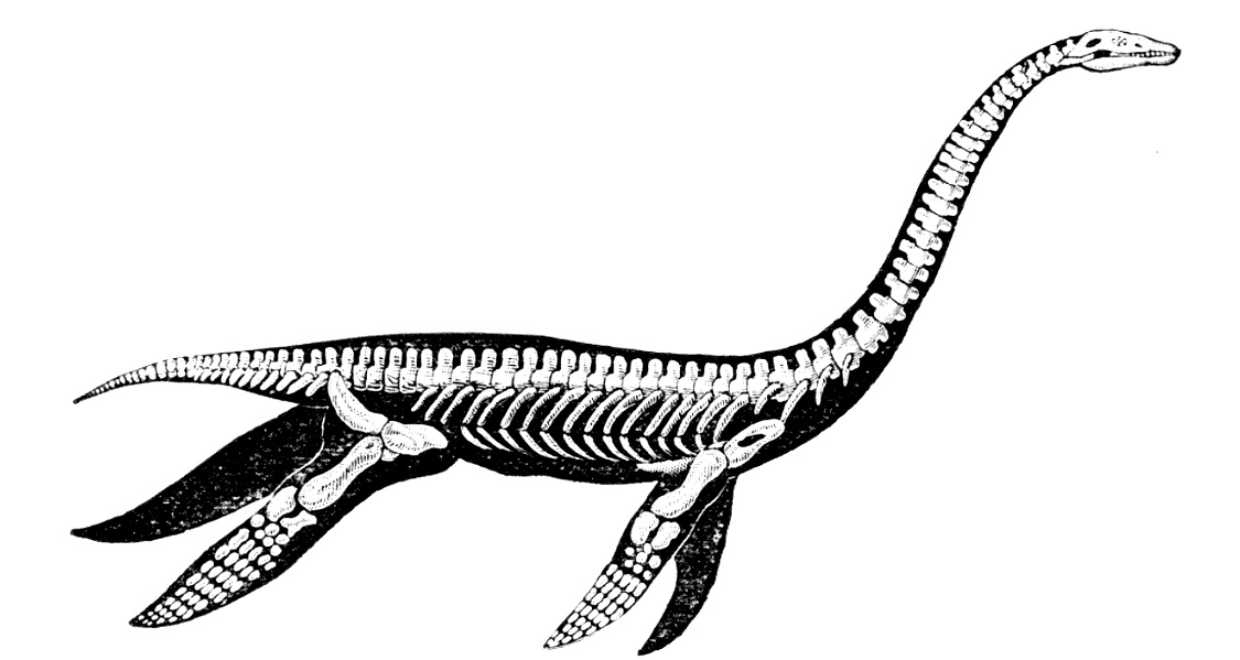 Meet the plesiosaur: a gigantic aquatic reptile – Improbable Ventures