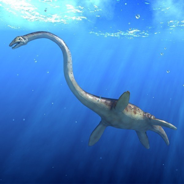 Meet the plesiosaur: a gigantic aquatic reptile – Improbable Ventures